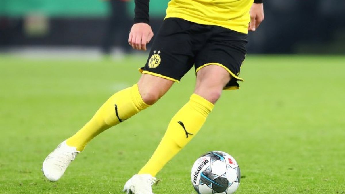 Spielerprofil: Lion Semic