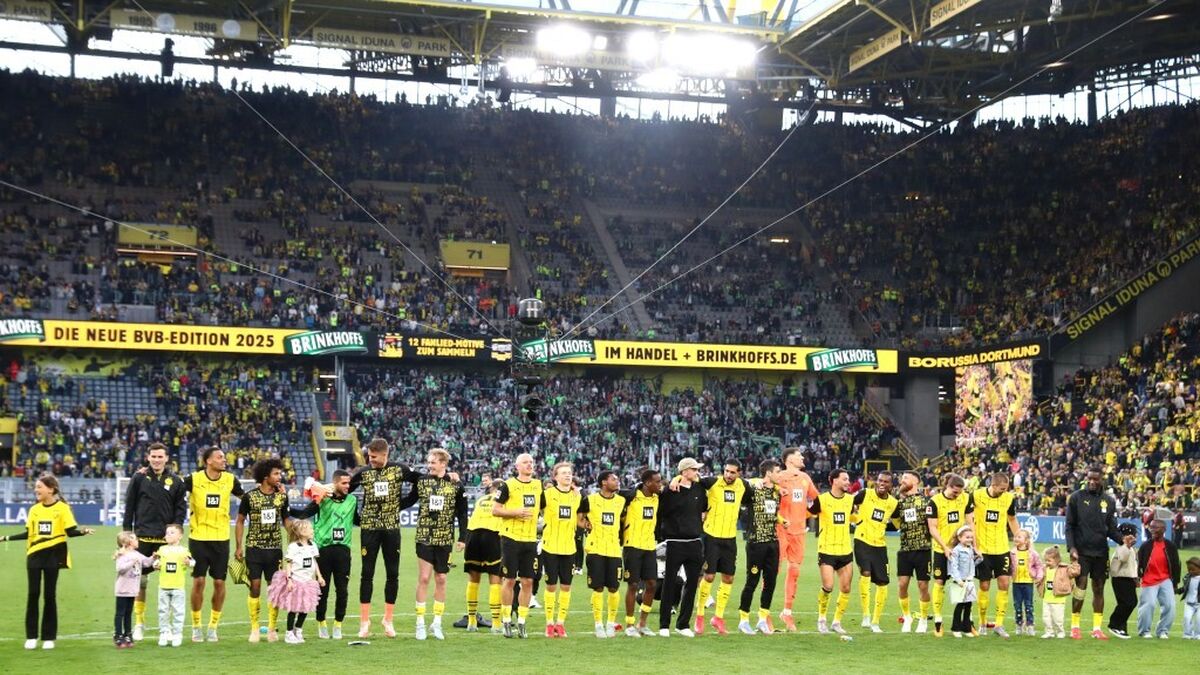 Spielbericht Borussia Dortmund gegen VfL Wolfsburg: Alle spielen für ...